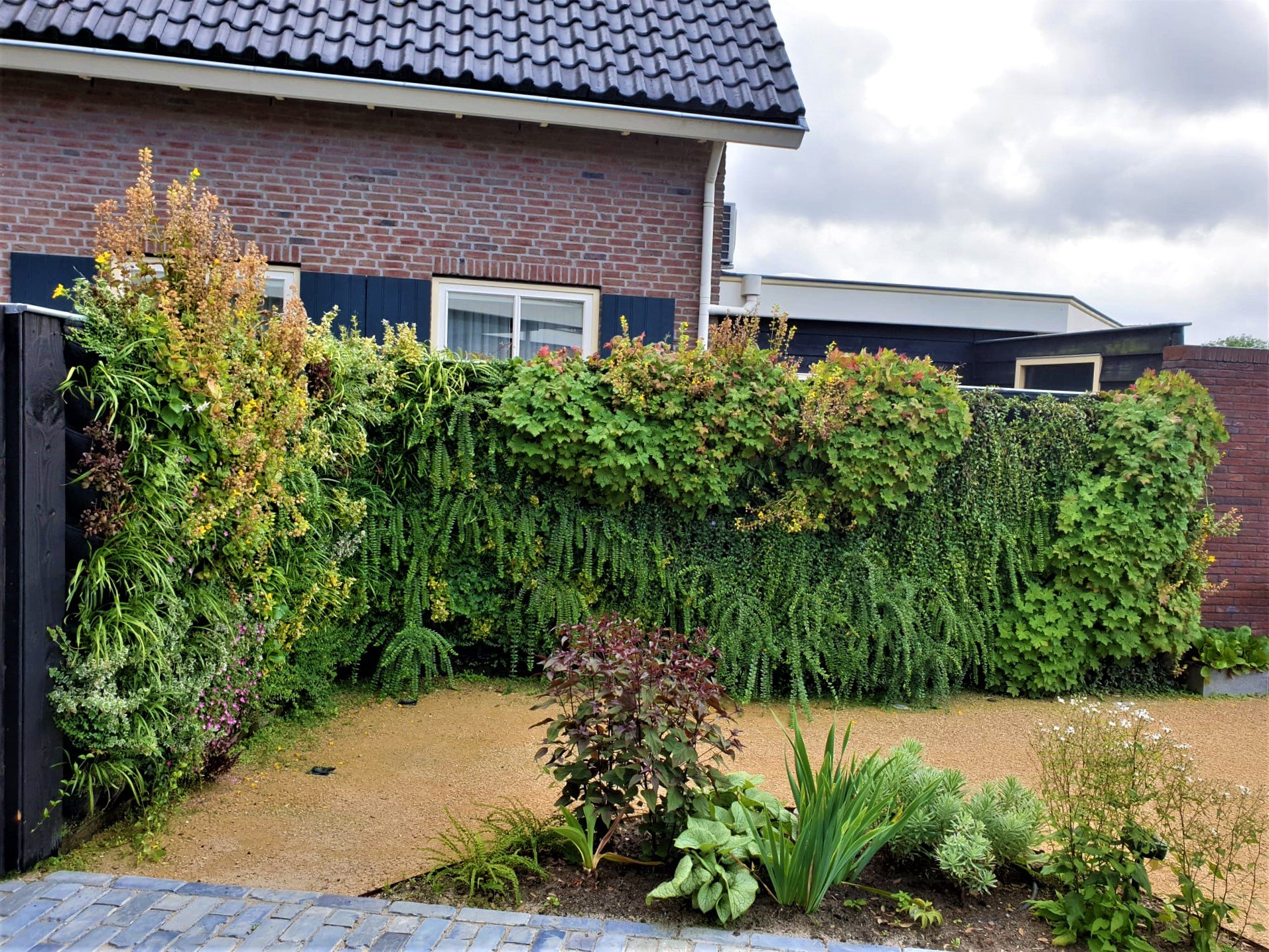 Verticale tuin als schutting! - Vertical Gardens